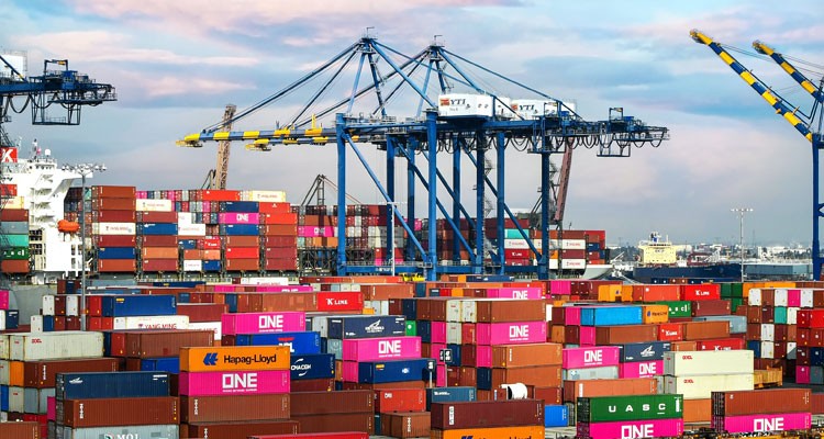 Freight Management Solution | TatvaSoft Australia