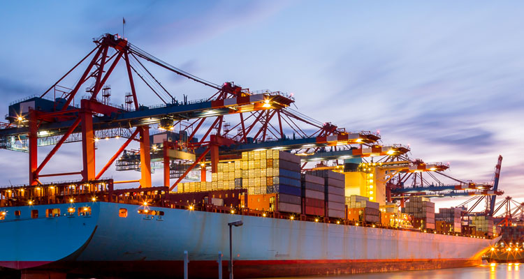 Sharepoint Website Development For Logistics | TatvaSoft Australia